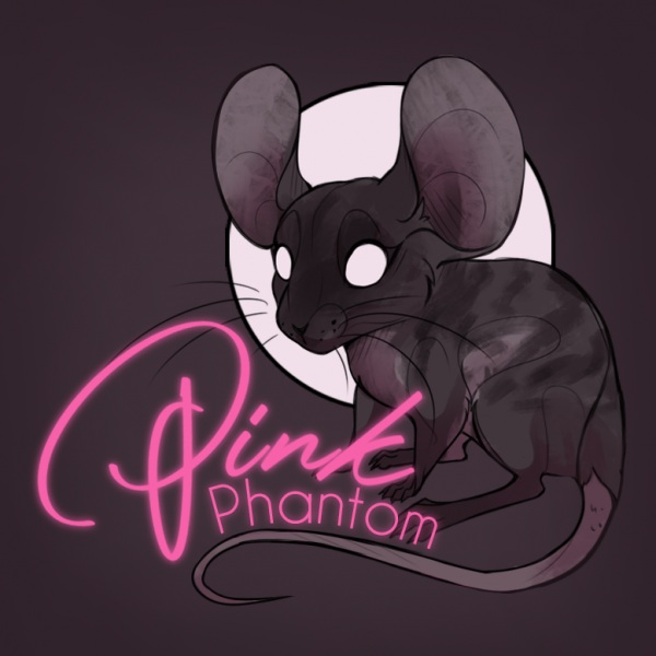Pink Phantom Mousery Official breeder